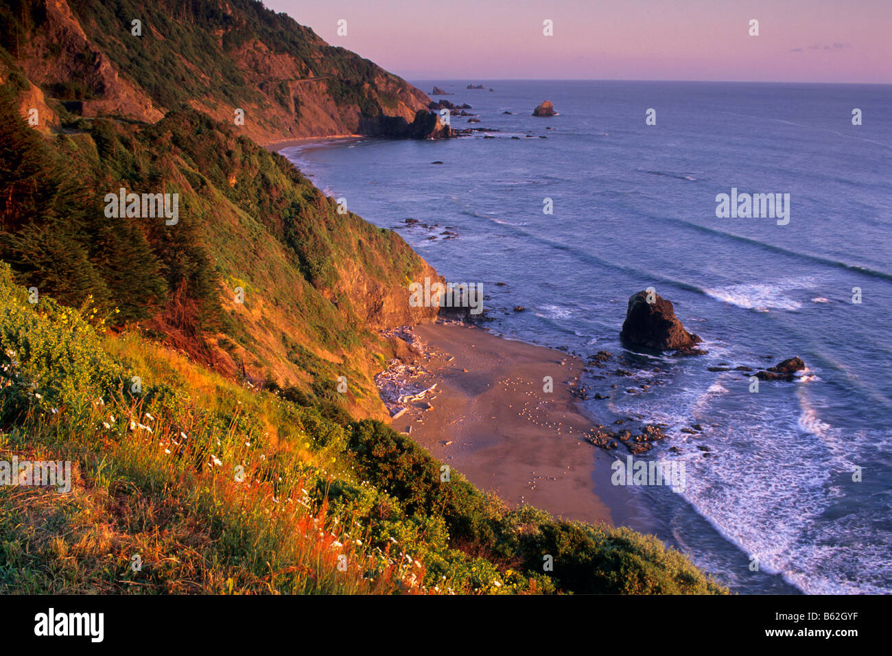 Sunset light on coastal cliffs over beach near Crescent City California ...