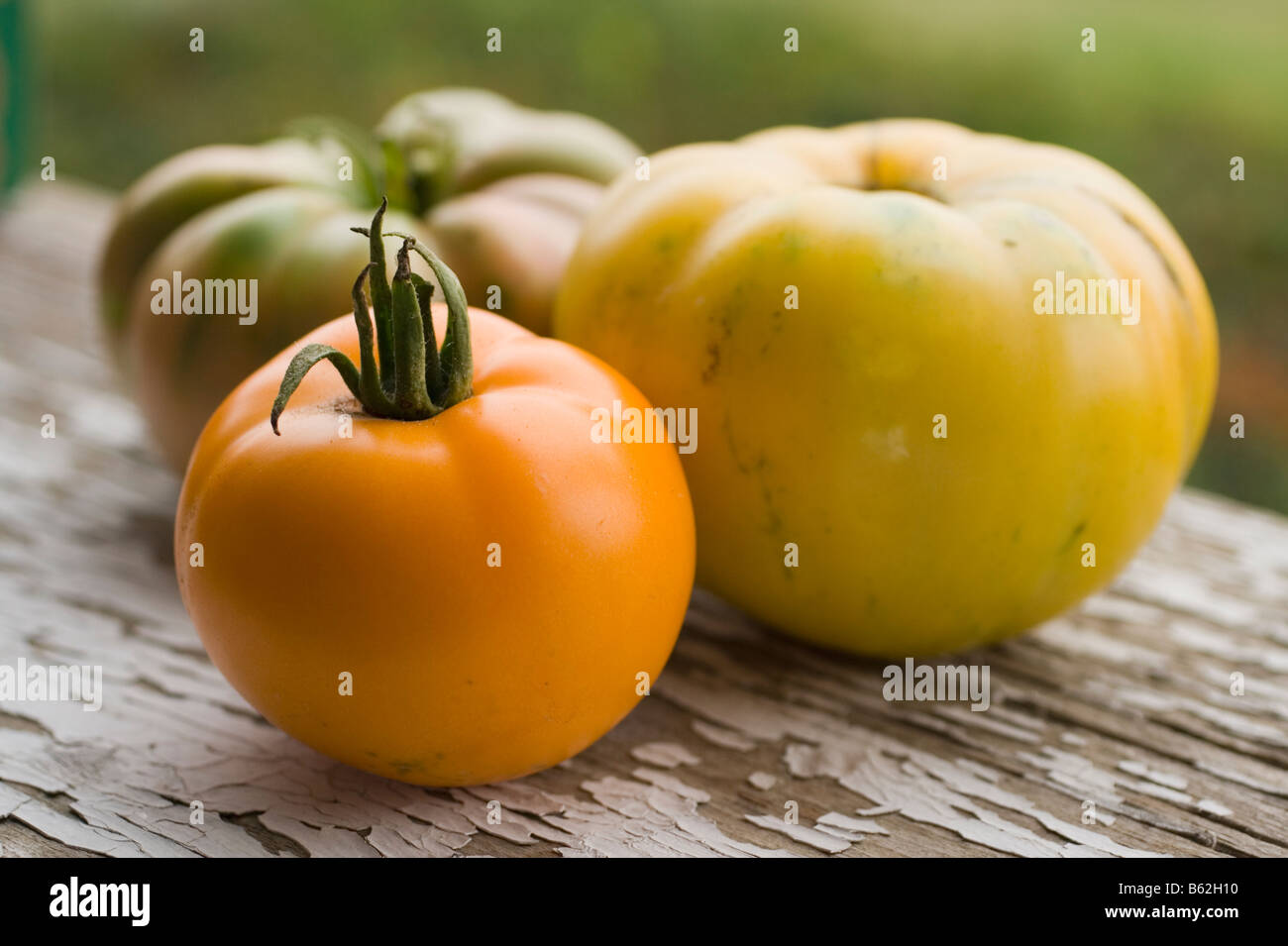 ripe heirloom tomatoes Stock Photo - Alamy