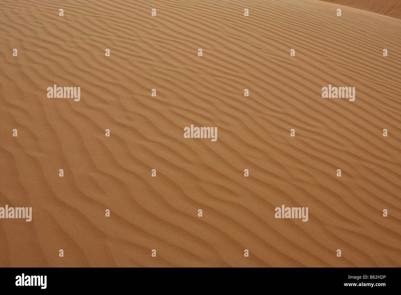 SAND DUNES IN DUBAI Stock Photo - Alamy