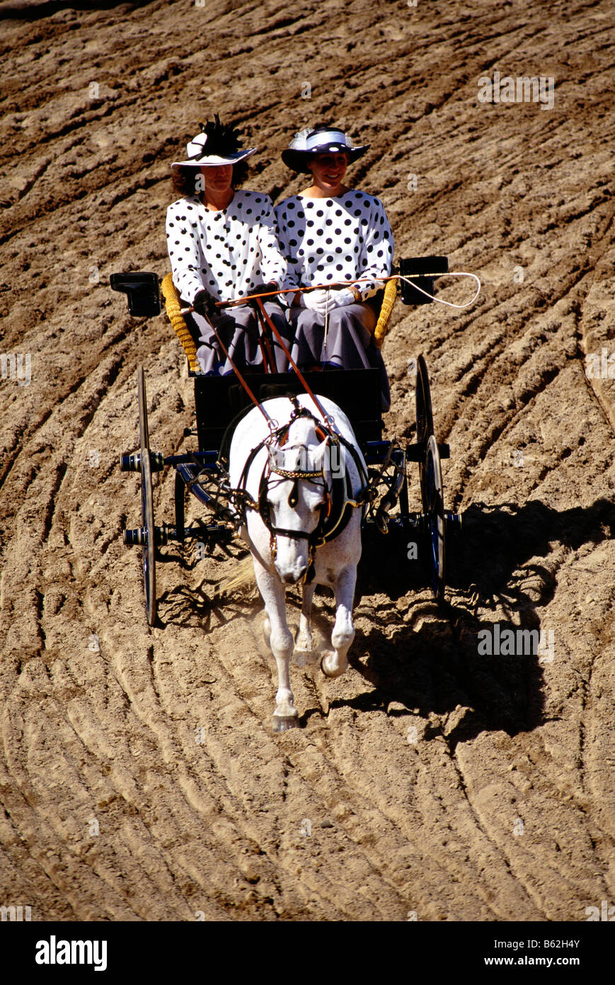 Devon Horse Show & Country Fair, Devon, Pennsylvania, USA. The oldest ...