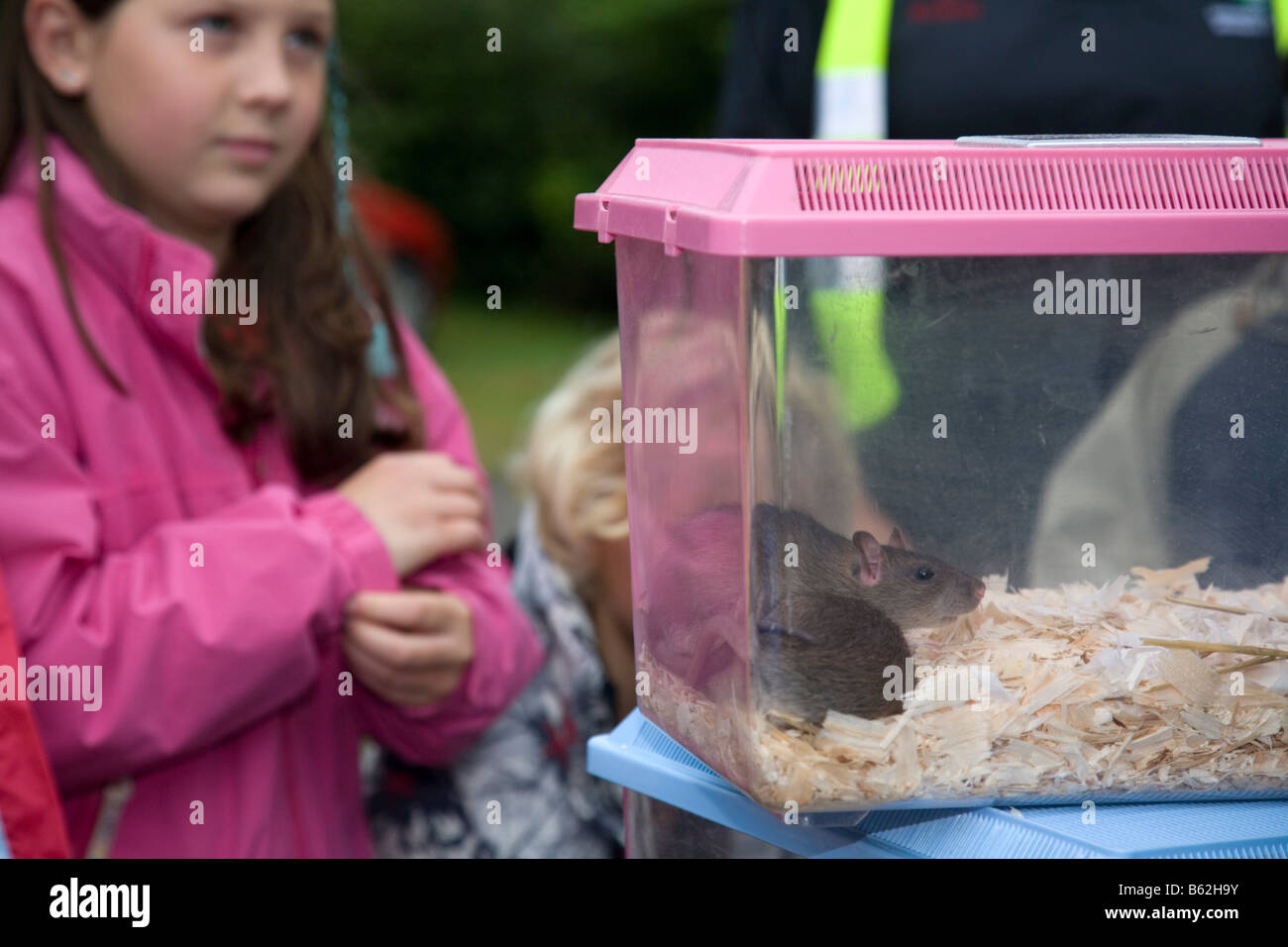 Relubbus cornwall hi-res stock photography and images - Alamy