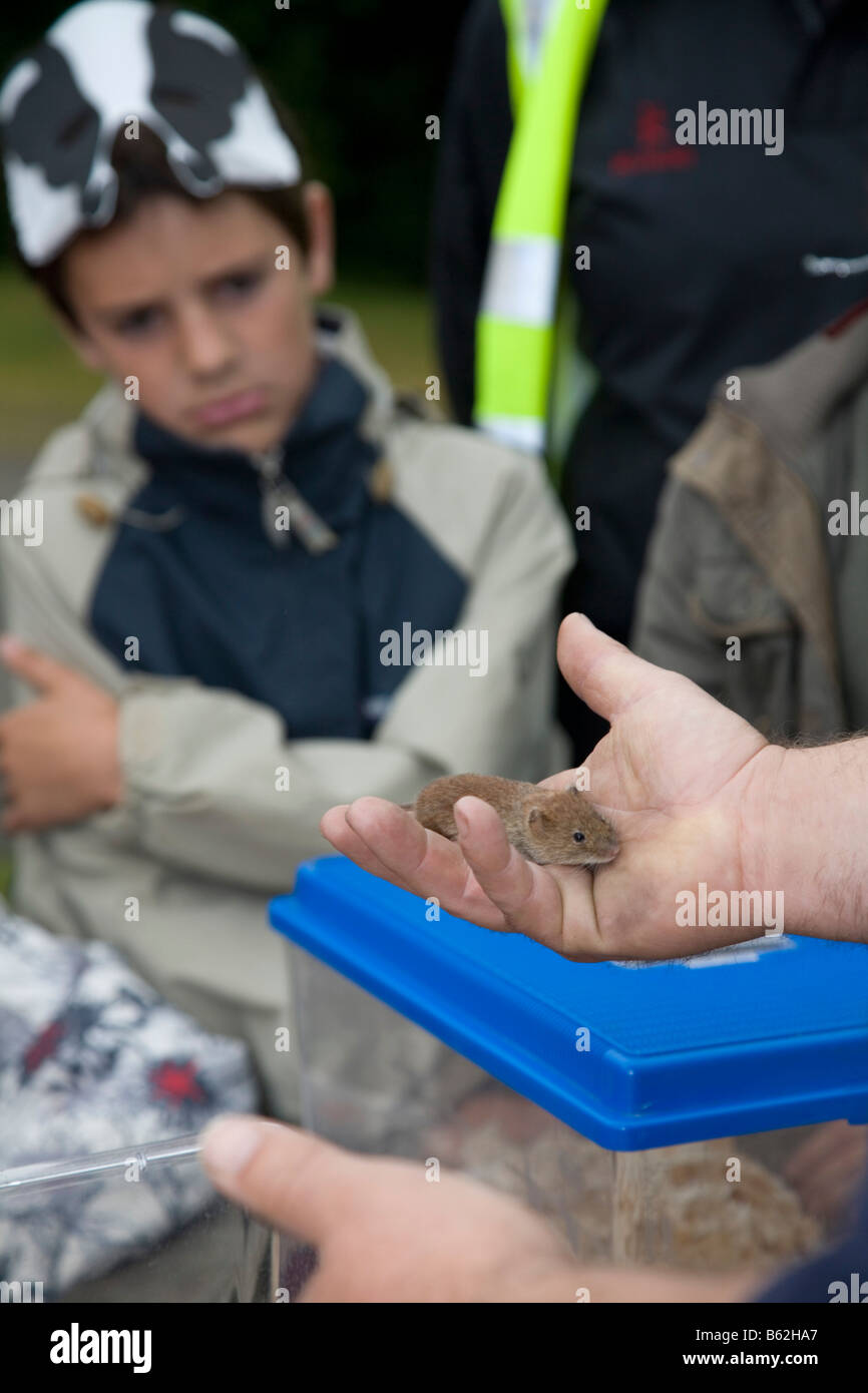 Relubbus cornwall hi-res stock photography and images - Alamy