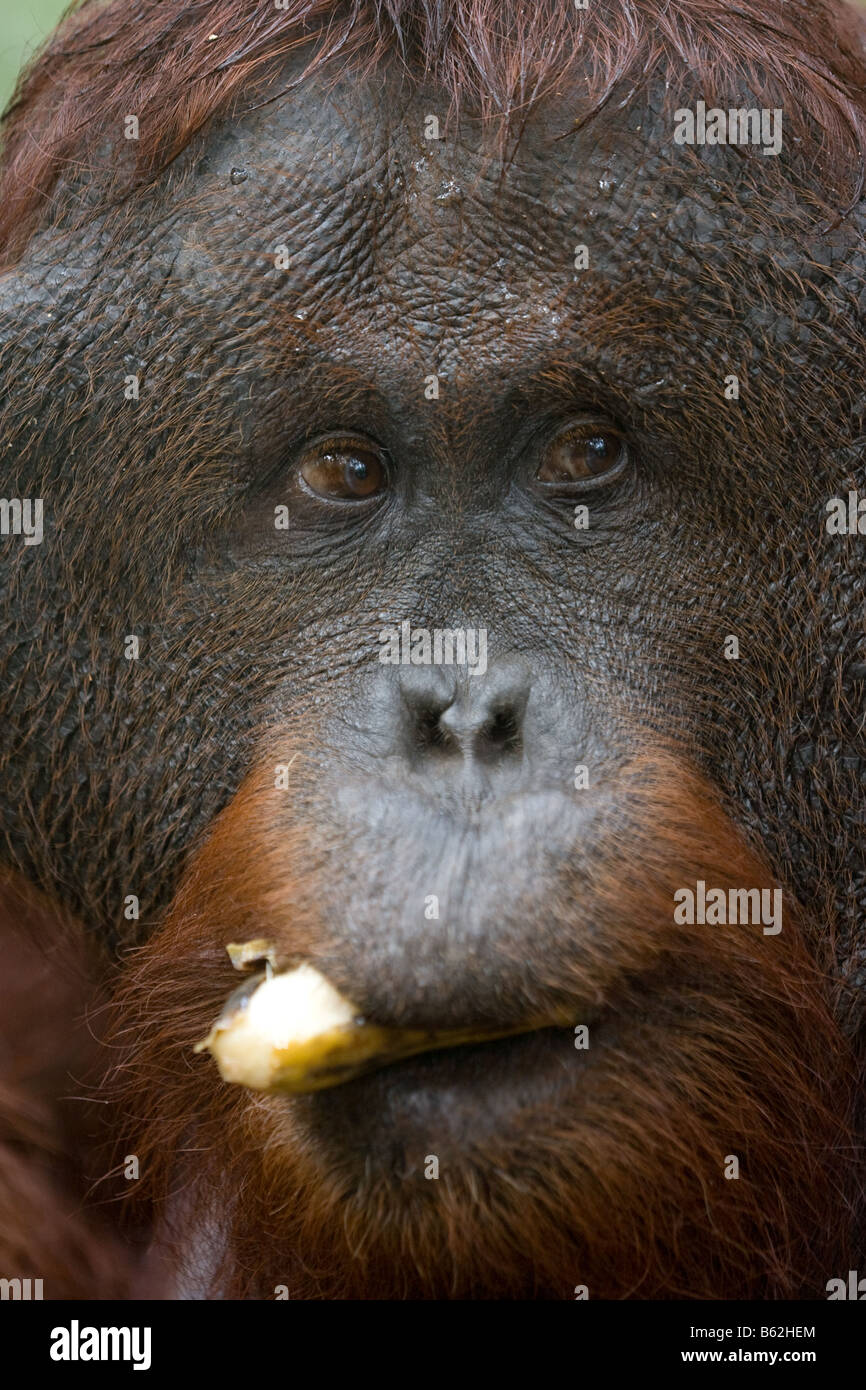 Unflanged hi-res stock photography and images - Alamy