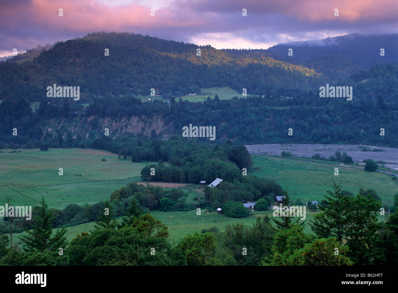 American forest hill humboldt hi-res stock photography and images - Alamy