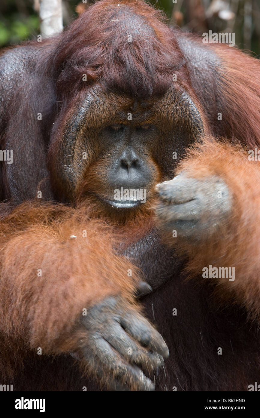 Unflanged hi-res stock photography and images - Alamy