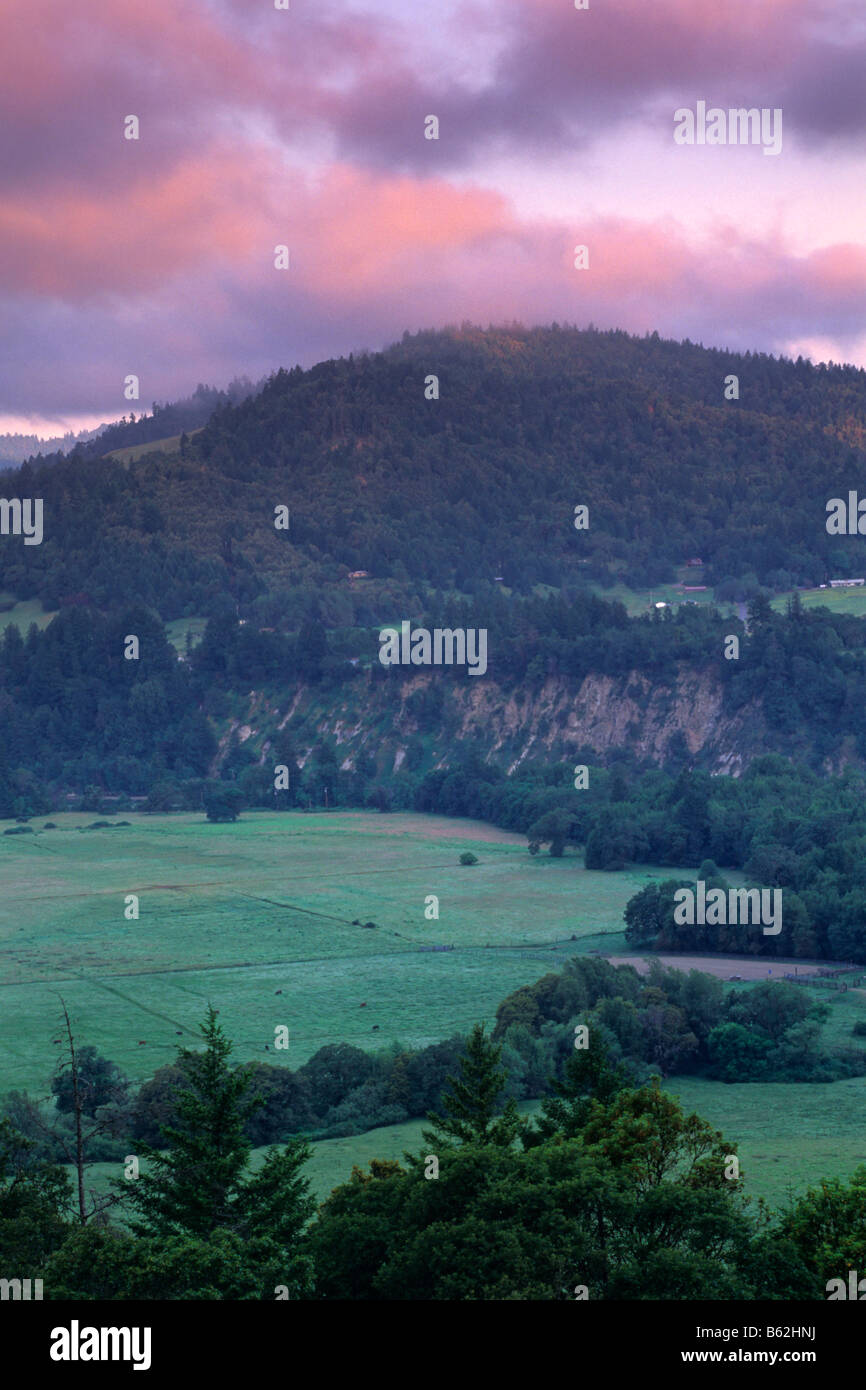 American forest hill humboldt hi-res stock photography and images - Alamy