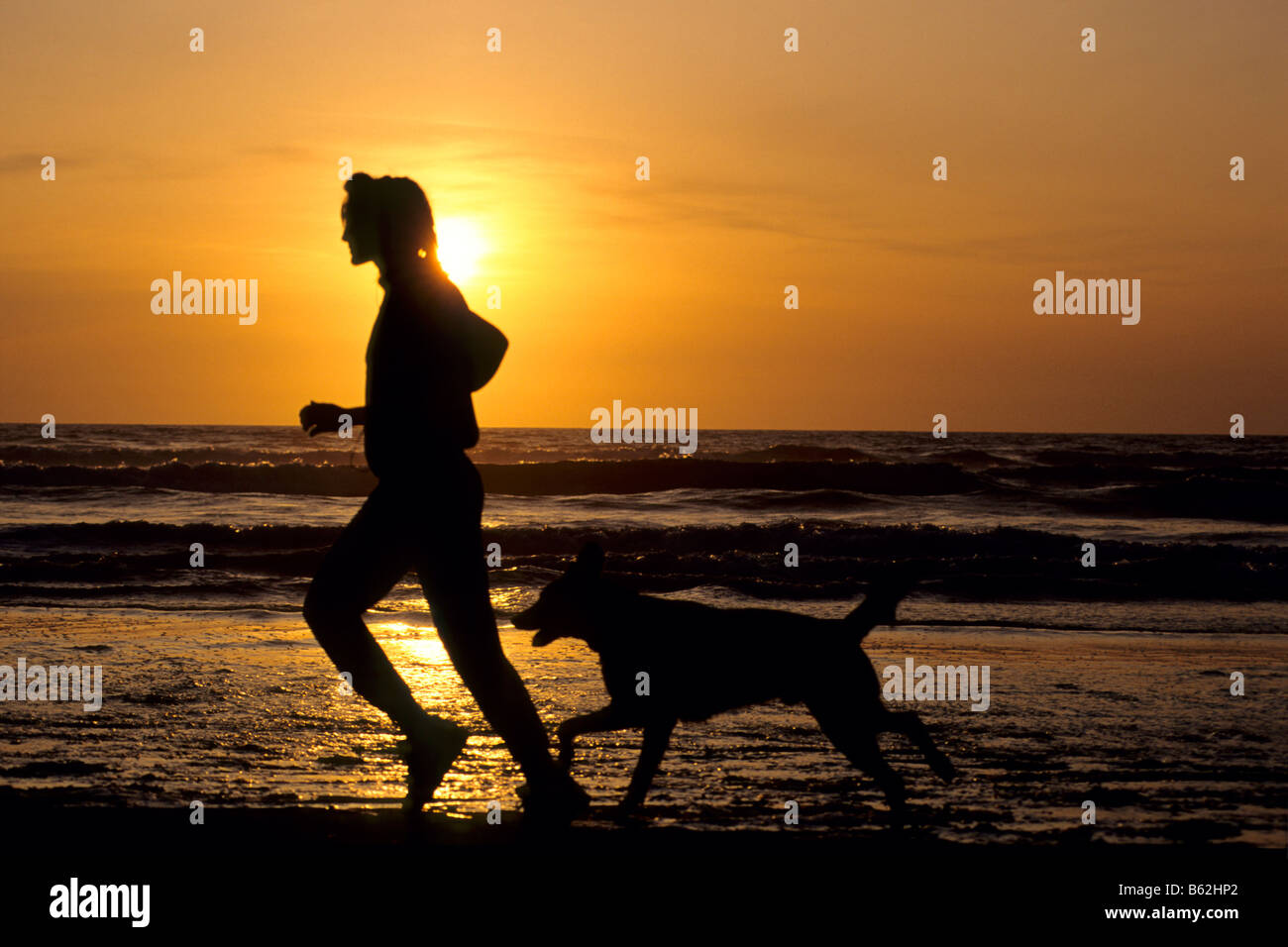 Woman running dog silhouette hi-res stock photography and images - Alamy
