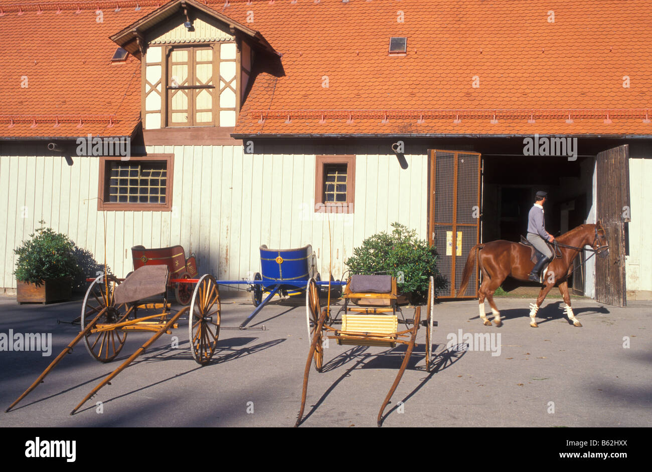 Wurttemberg horse hi-res stock photography and images - Alamy