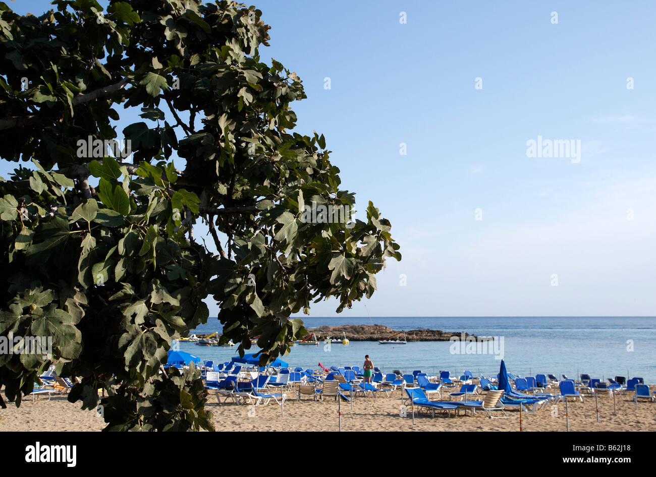 fig tree bay beach protaras cyprus mediterranean Stock Photo - Alamy