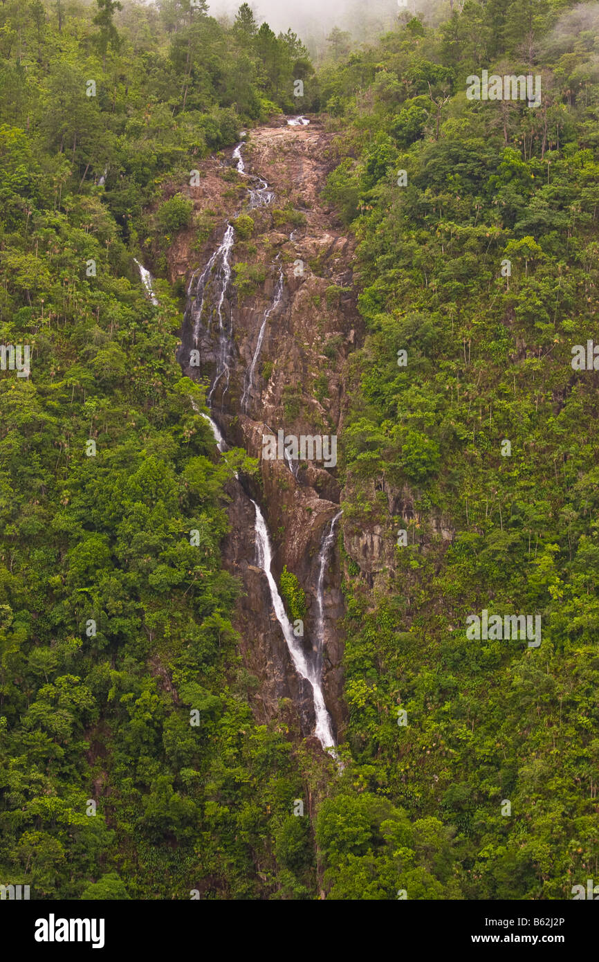 CAYO DISTRICT BELIZE King Vulture Falls in Mountain Pine Ridge Forest ...