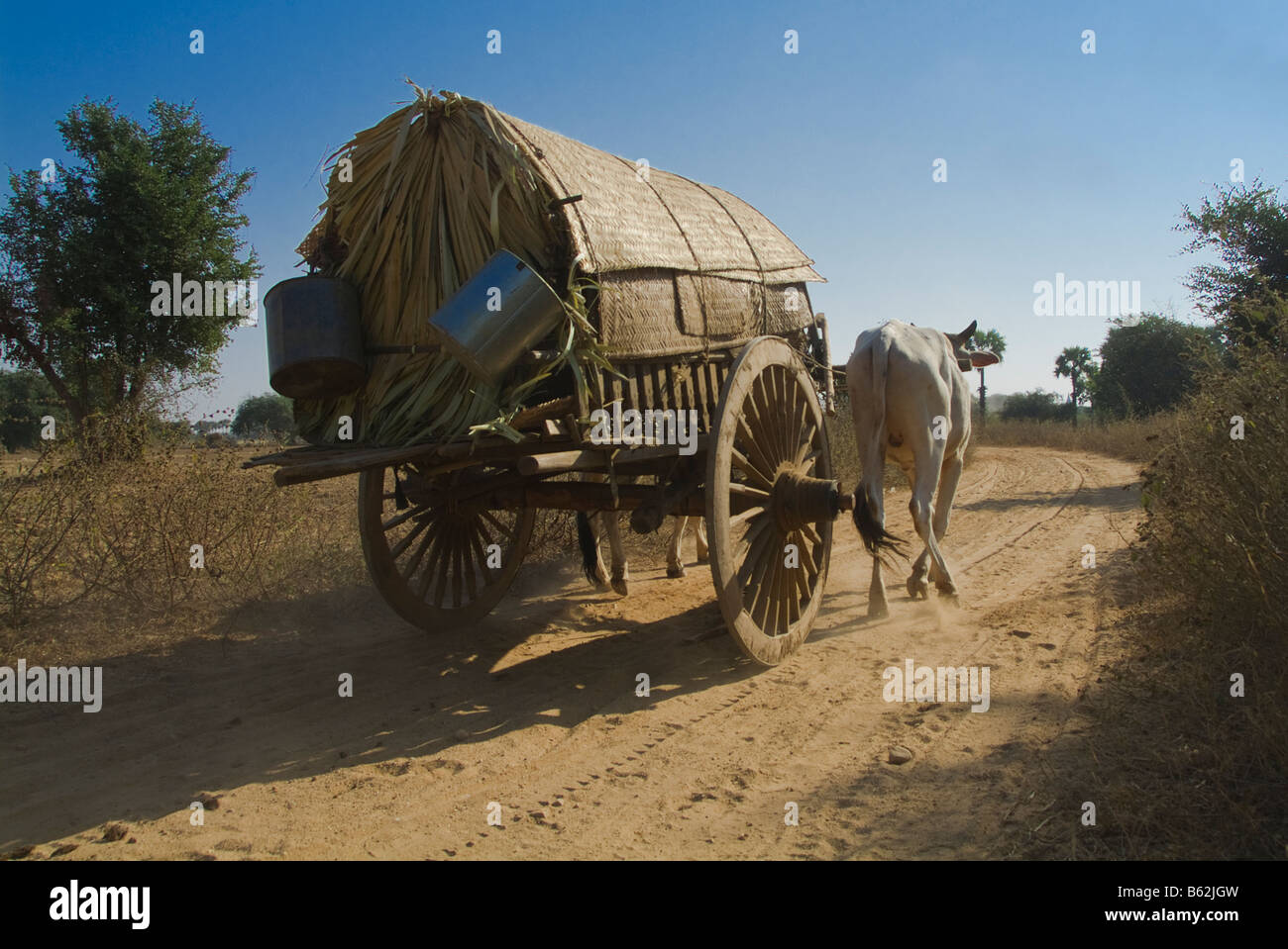Ox Carriage High Resolution Stock Photography and Images - Alamy