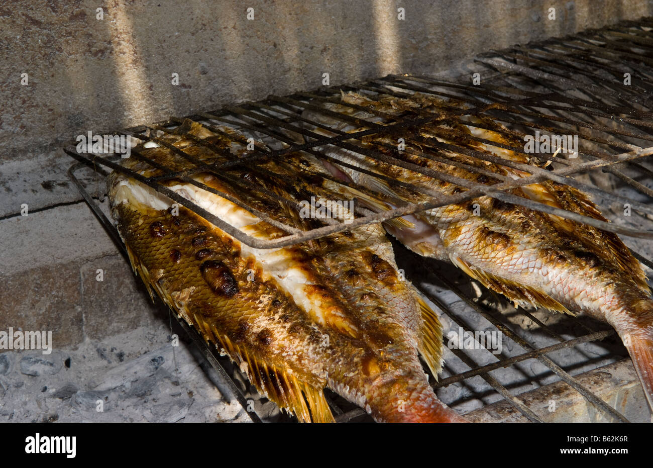 Grilled snapper on grill in fishing village below Oia in beautiful ...