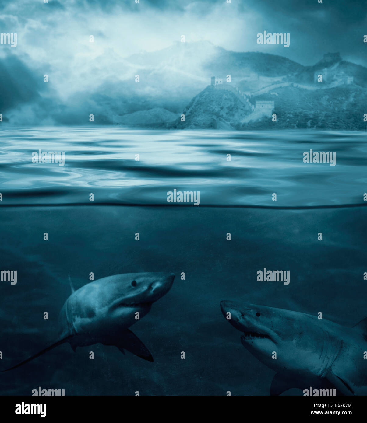 Underwater scene two sharks swimming hi-res stock photography and ...