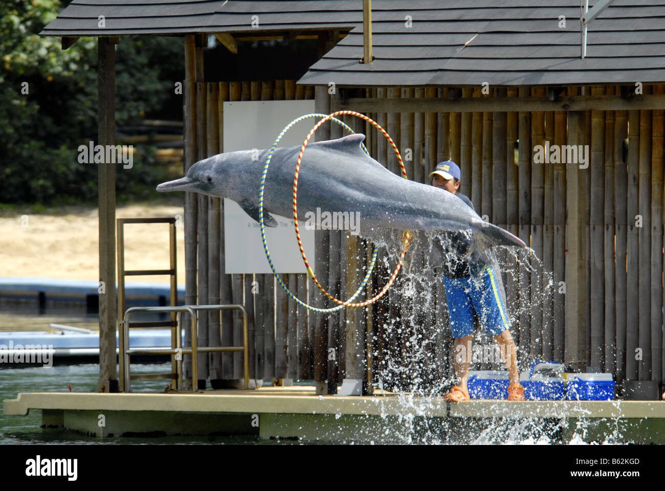 Sentosa Island Underwater World And Dolphin Lagoon
