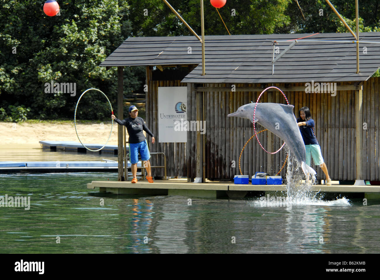 DOLPHIN LAGOON IN SENTOSA SINGAPORE Stock Photo - Alamy