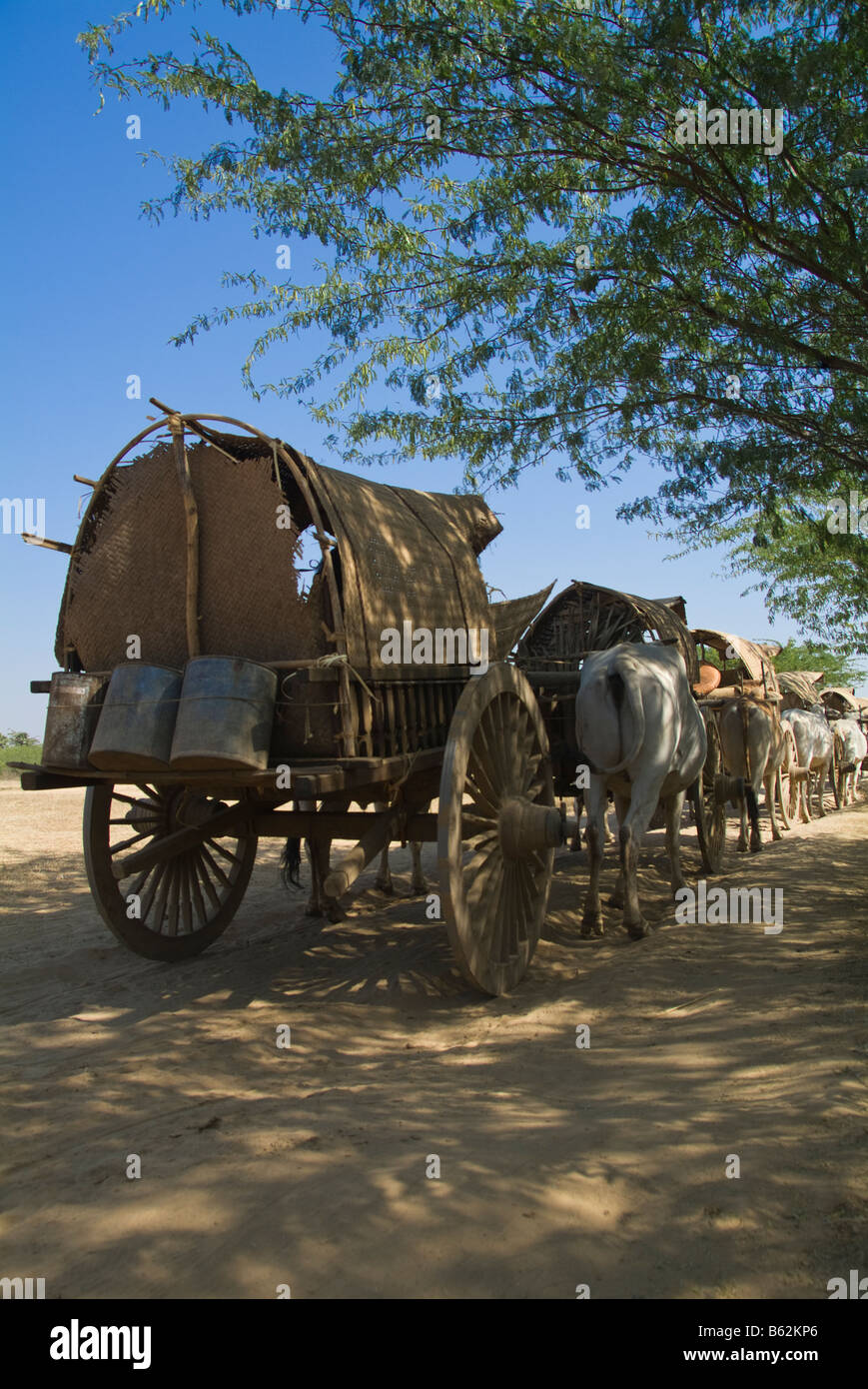 Ox carriage on a dustry road Bagan Pagan Myanmar Burma Stock Photo - Alamy