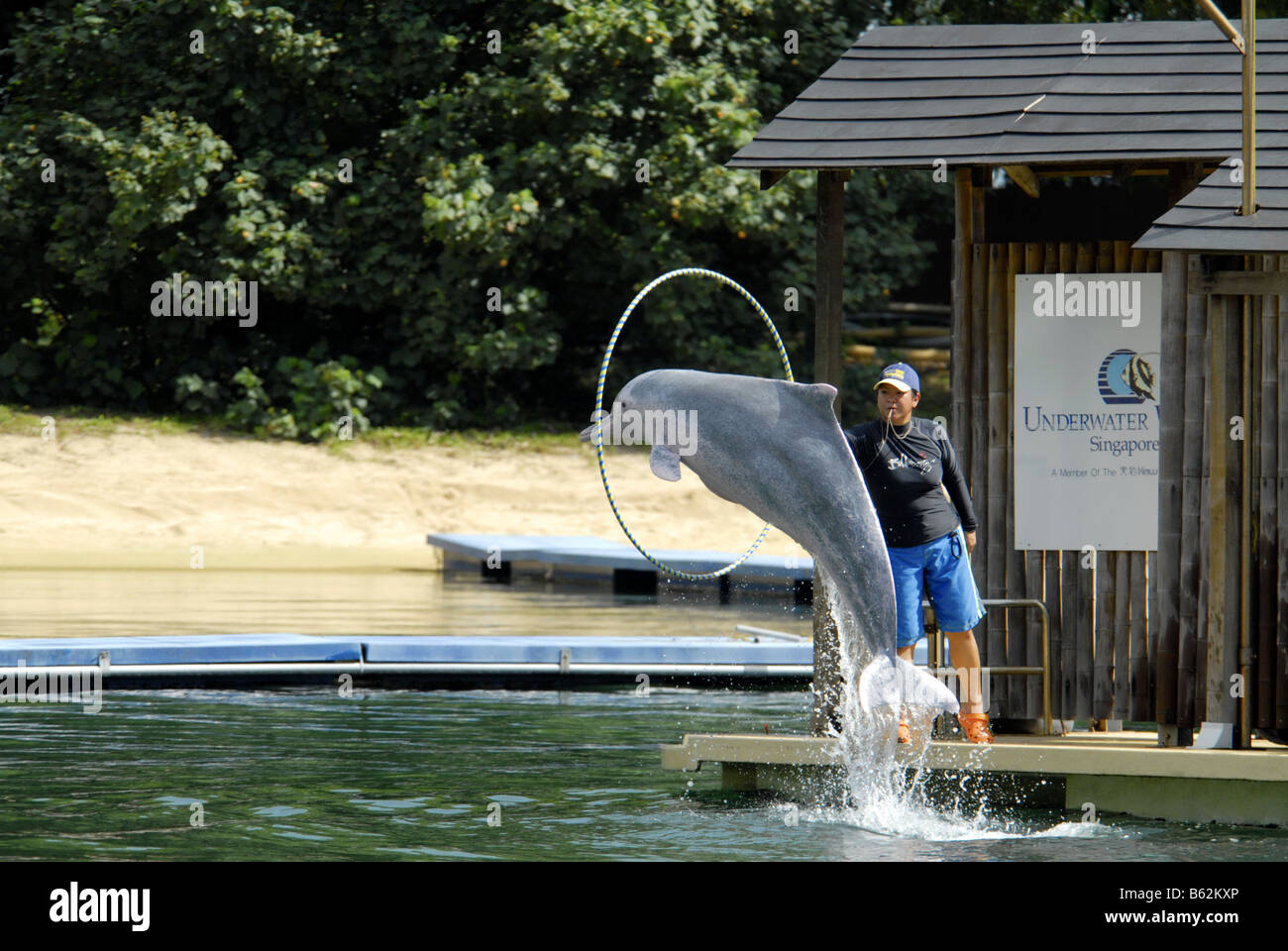Sentosa Island Underwater World And Dolphin Lagoon