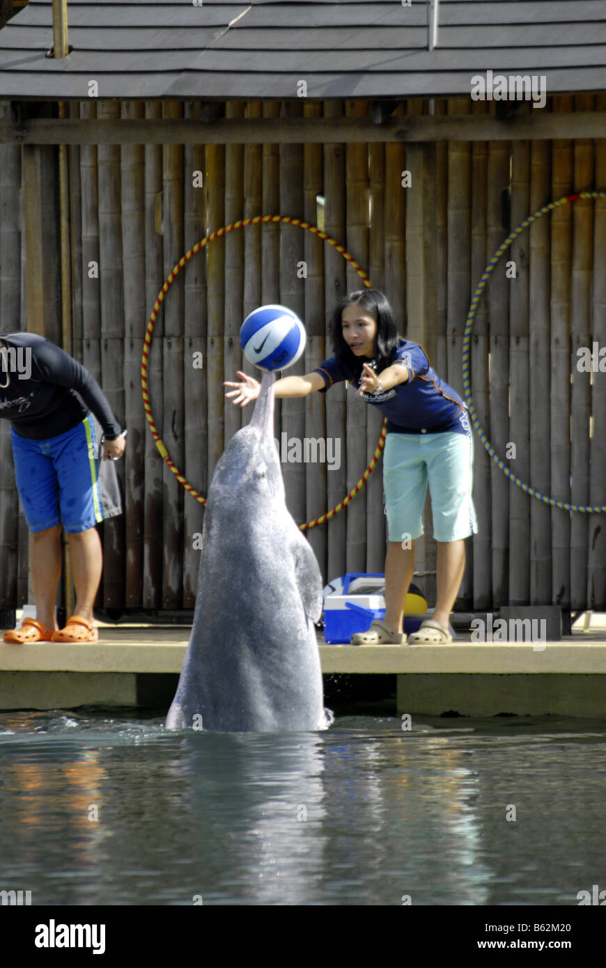 Sentosa Island Underwater World And Dolphin Lagoon