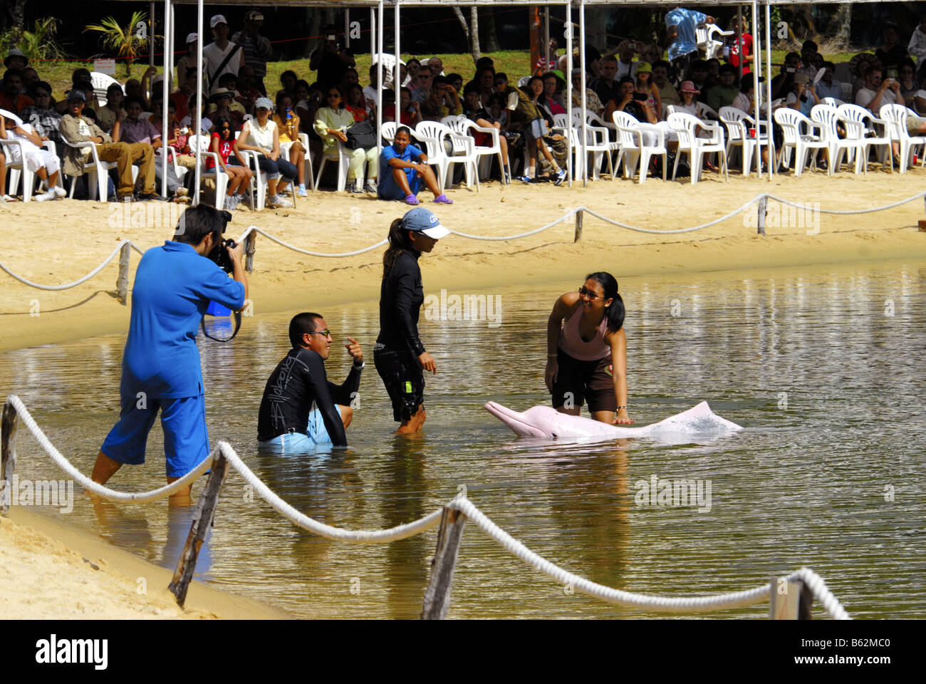 DOLPHIN LAGOON IN SENTOSA SINGAPORE Stock Photo - Alamy