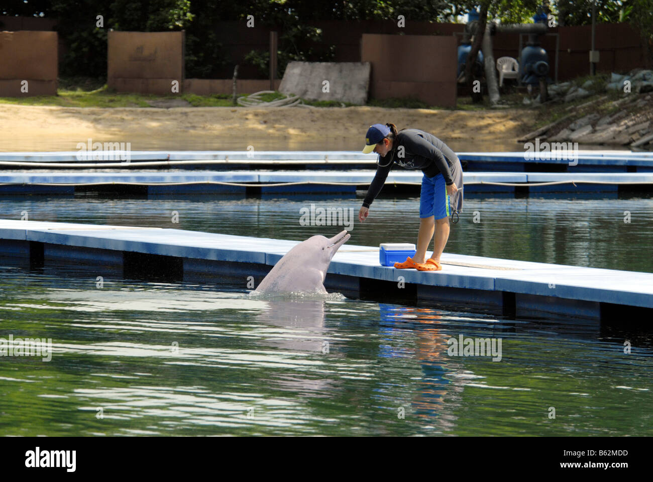 Sentosa Island Underwater World And Dolphin Lagoon