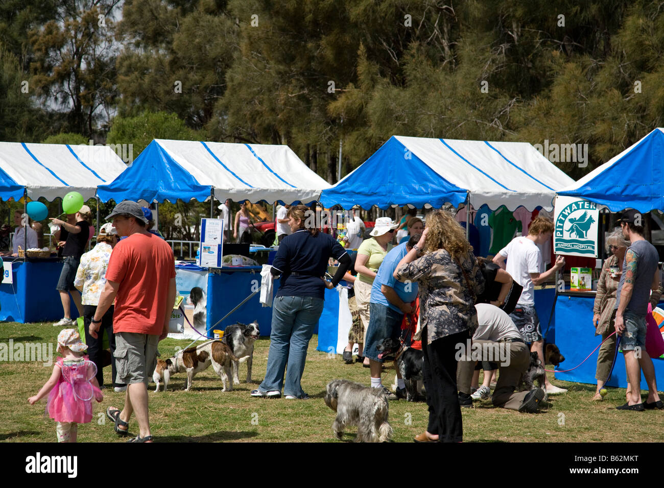 village dog show Stock Photo - Alamy