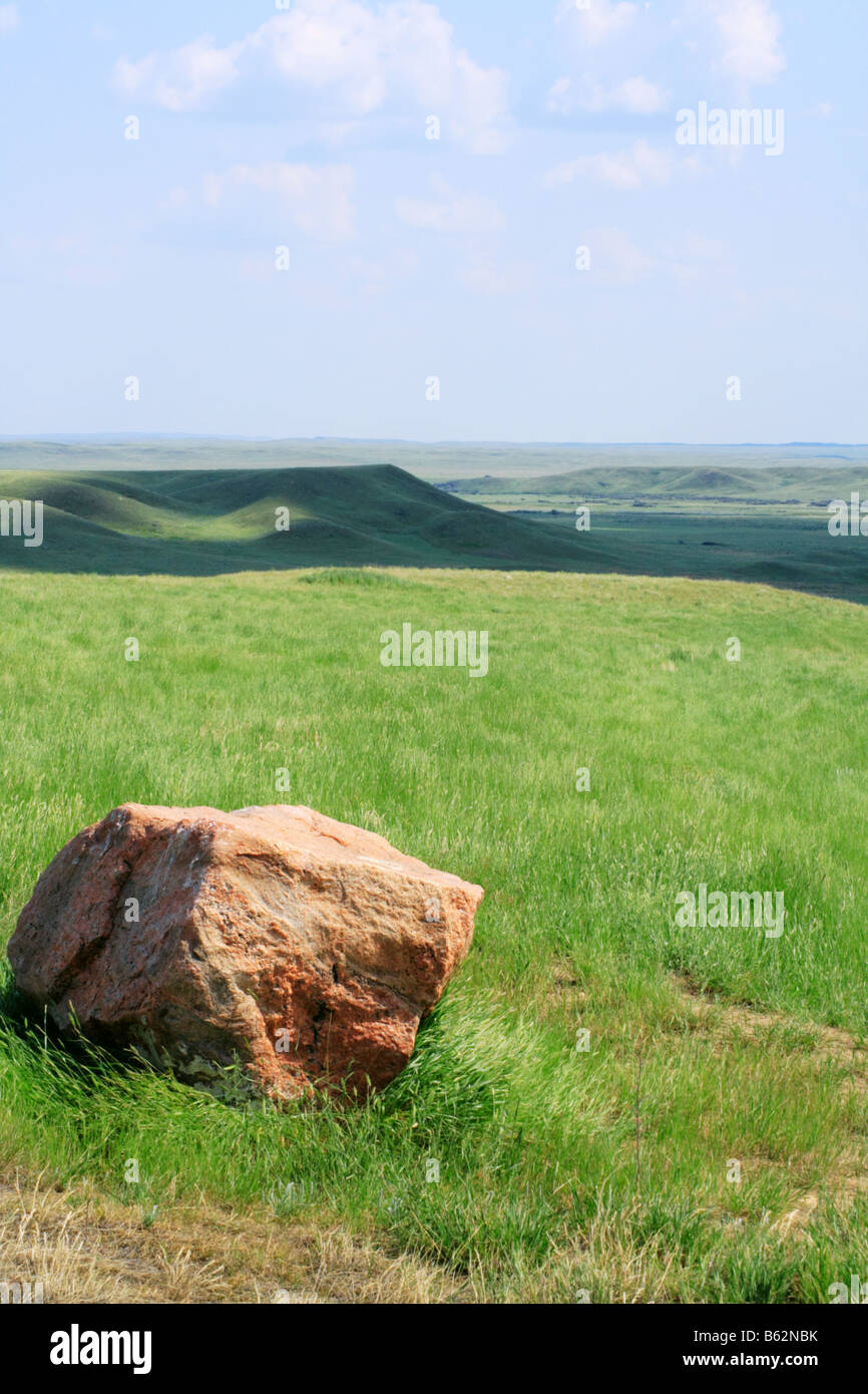 Buffalo rubbing stone hi-res stock photography and images - Alamy