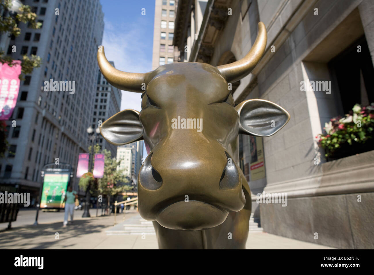 Close-up of the bronze statue of a cow, Hanig Cow, Chicago, Illinois ...