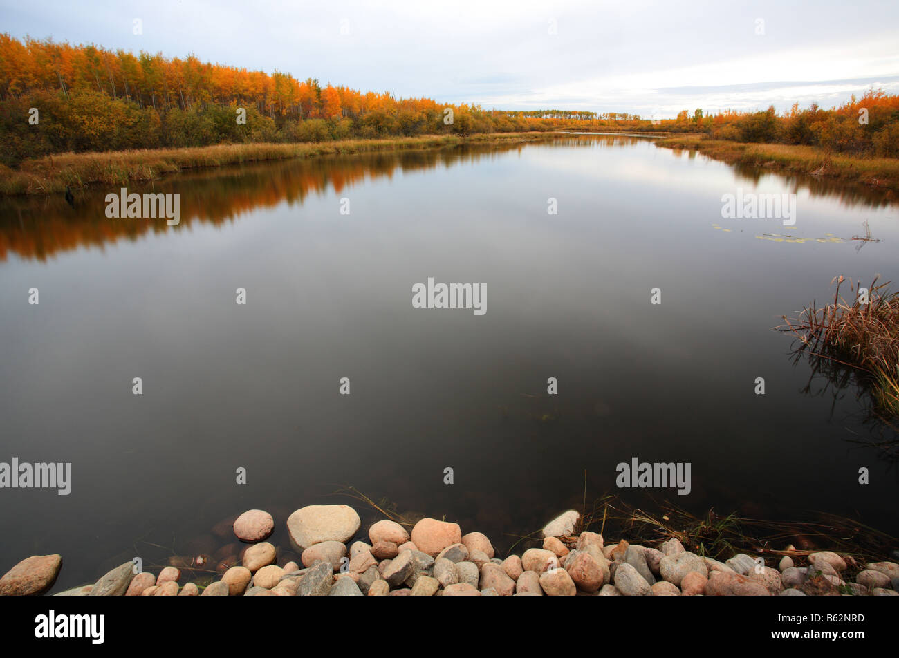 Waterhen lake hi-res stock photography and images - Alamy