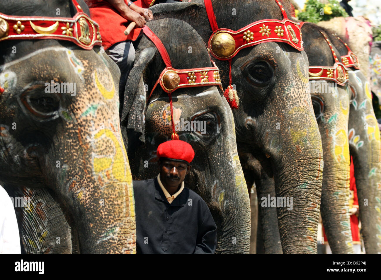 Mysore dasara elephant hi-res stock photography and images - Alamy