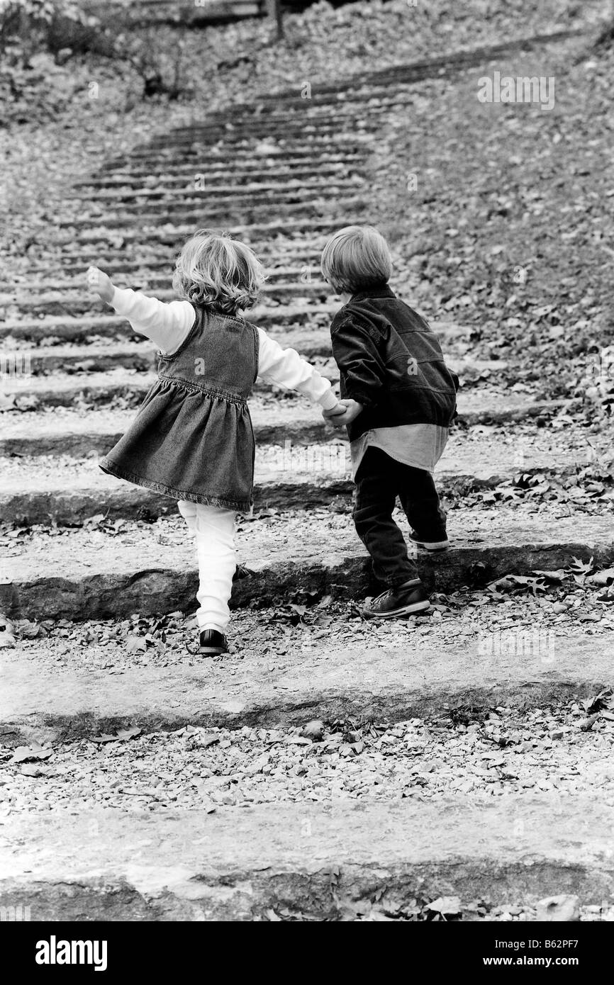 Rear view of a boy with his sister moving up on steps Stock Photo - Alamy