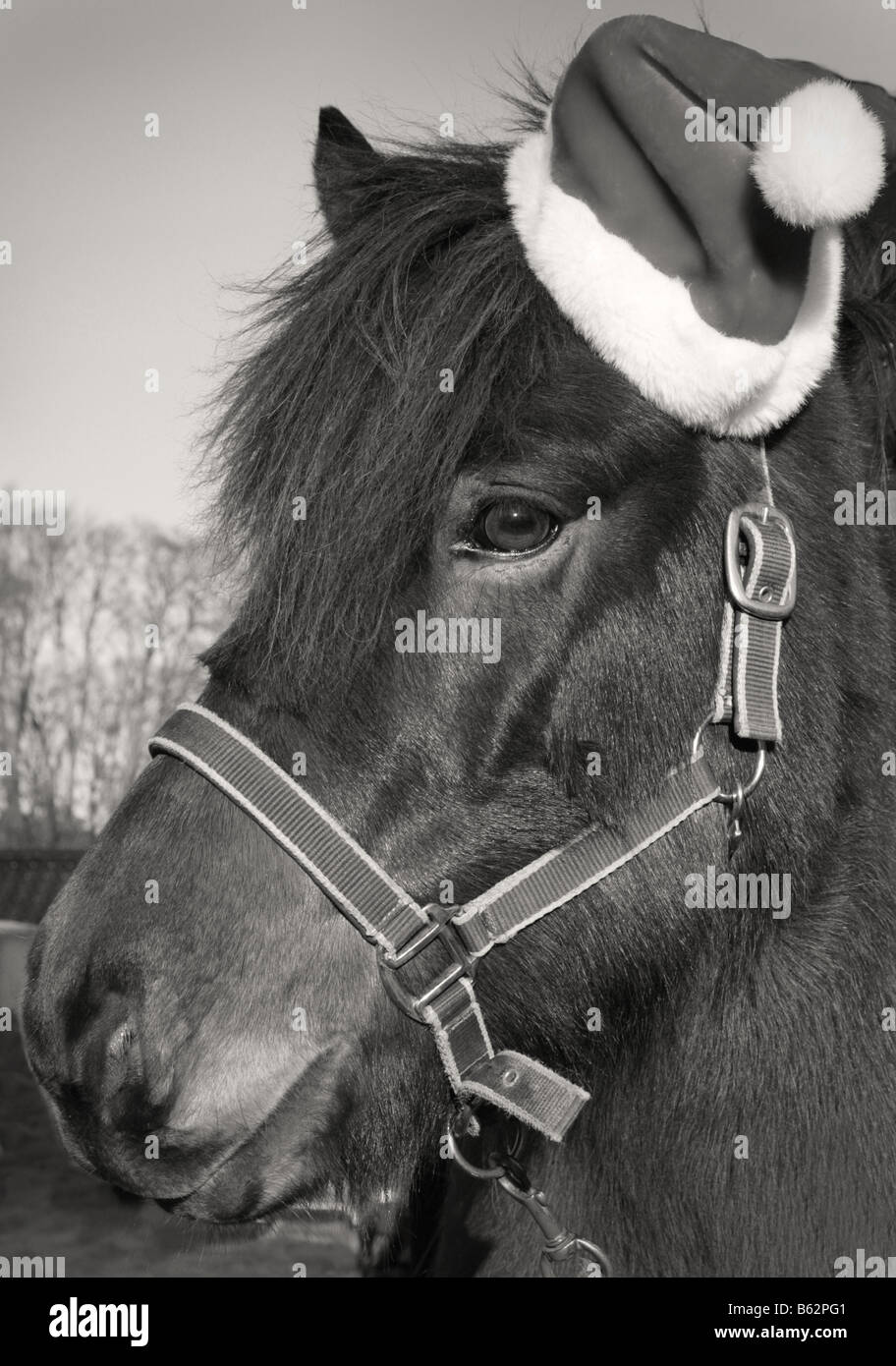 Svensk vinter hi-res stock photography and images - Alamy