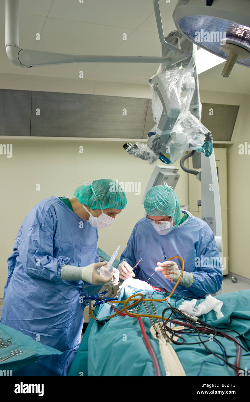 Neurosurgeons removing a benign brain tumor, Reykjavik, Iceland Stock ...