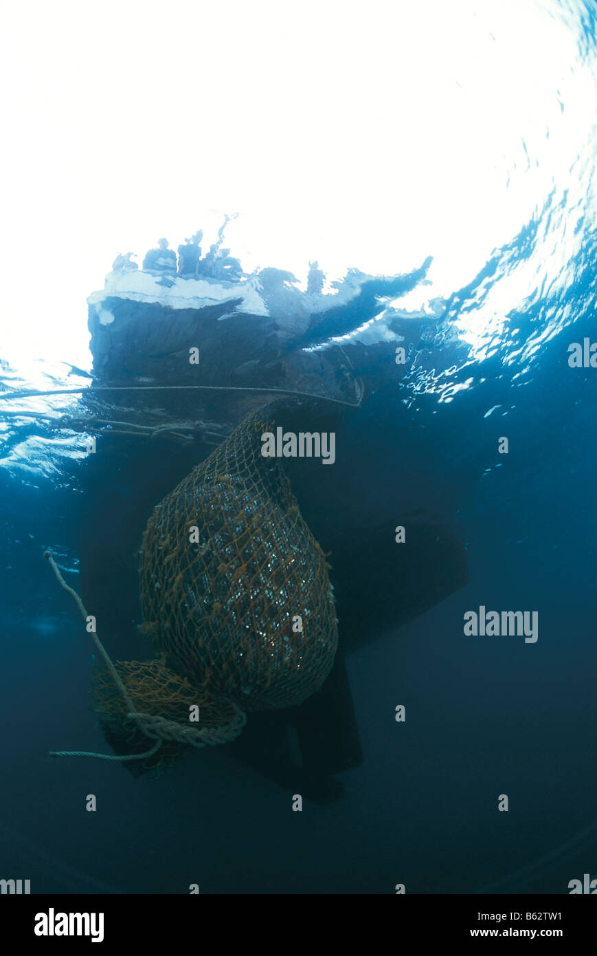 Underwater people underneath hi-res stock photography and images - Alamy