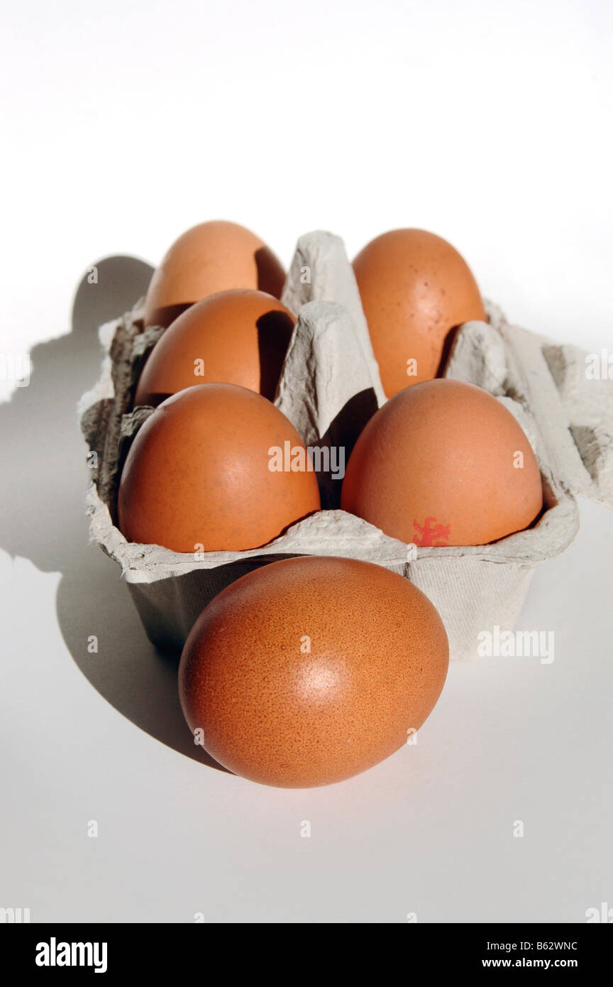 An open box of eggs - one sits out and in front Stock Photo - Alamy