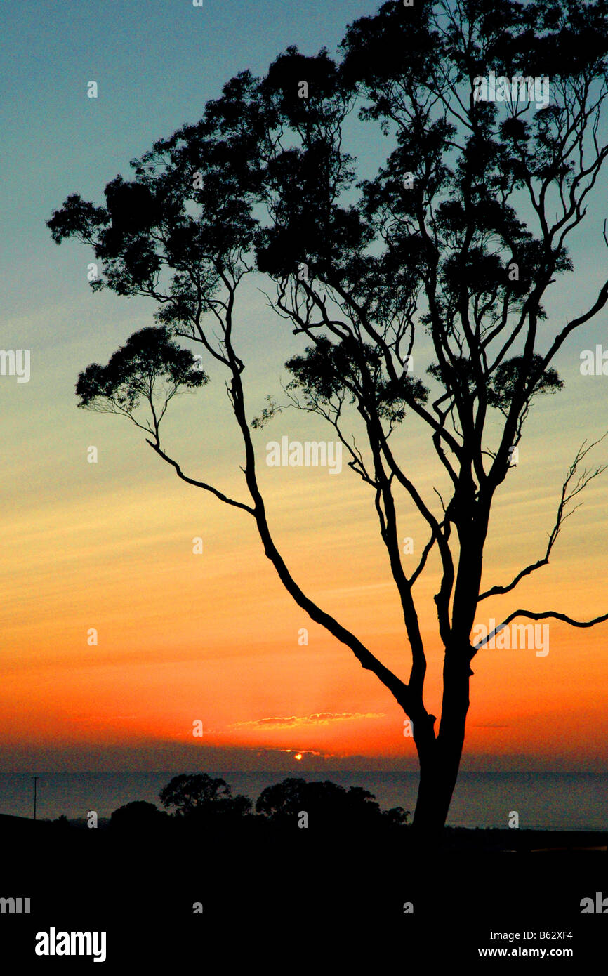 Sydney red sunset hi-res stock photography and images - Alamy