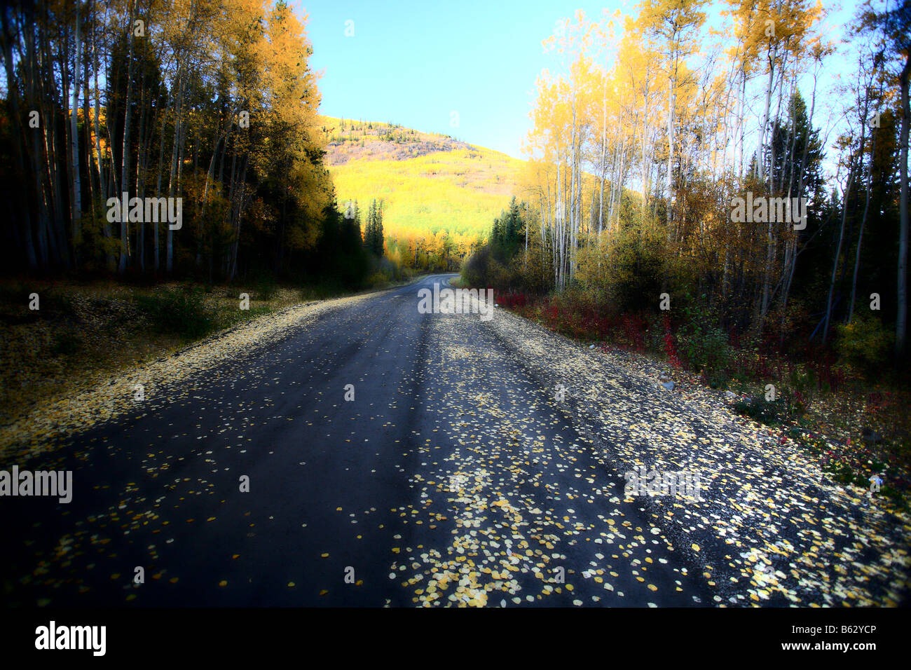 Northern british columbia, canada road hi-res stock photography and ...