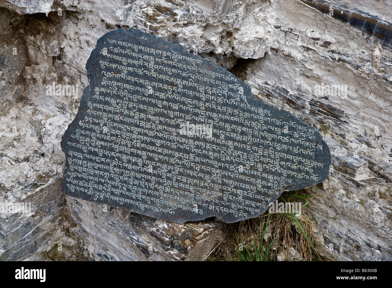 Tibetan rock carving outside outside the Potala Palace, Lhasa, Tibet ...