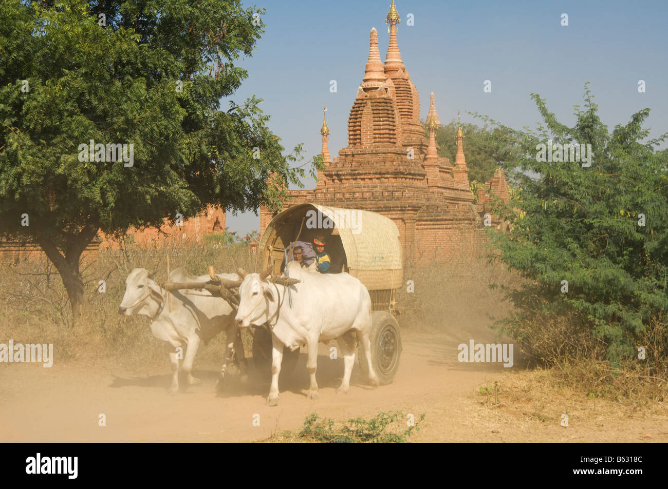 Ox carriage on a dustry road Bagan Pagan Myanmar Burma Stock Photo - Alamy