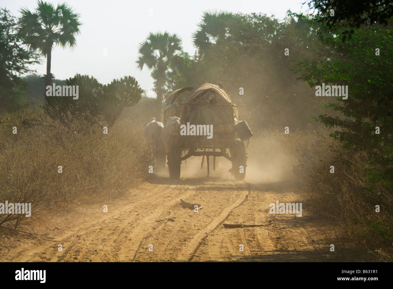 Ox carriage on a dustry road Bagan Pagan Myanmar Burma Stock Photo - Alamy