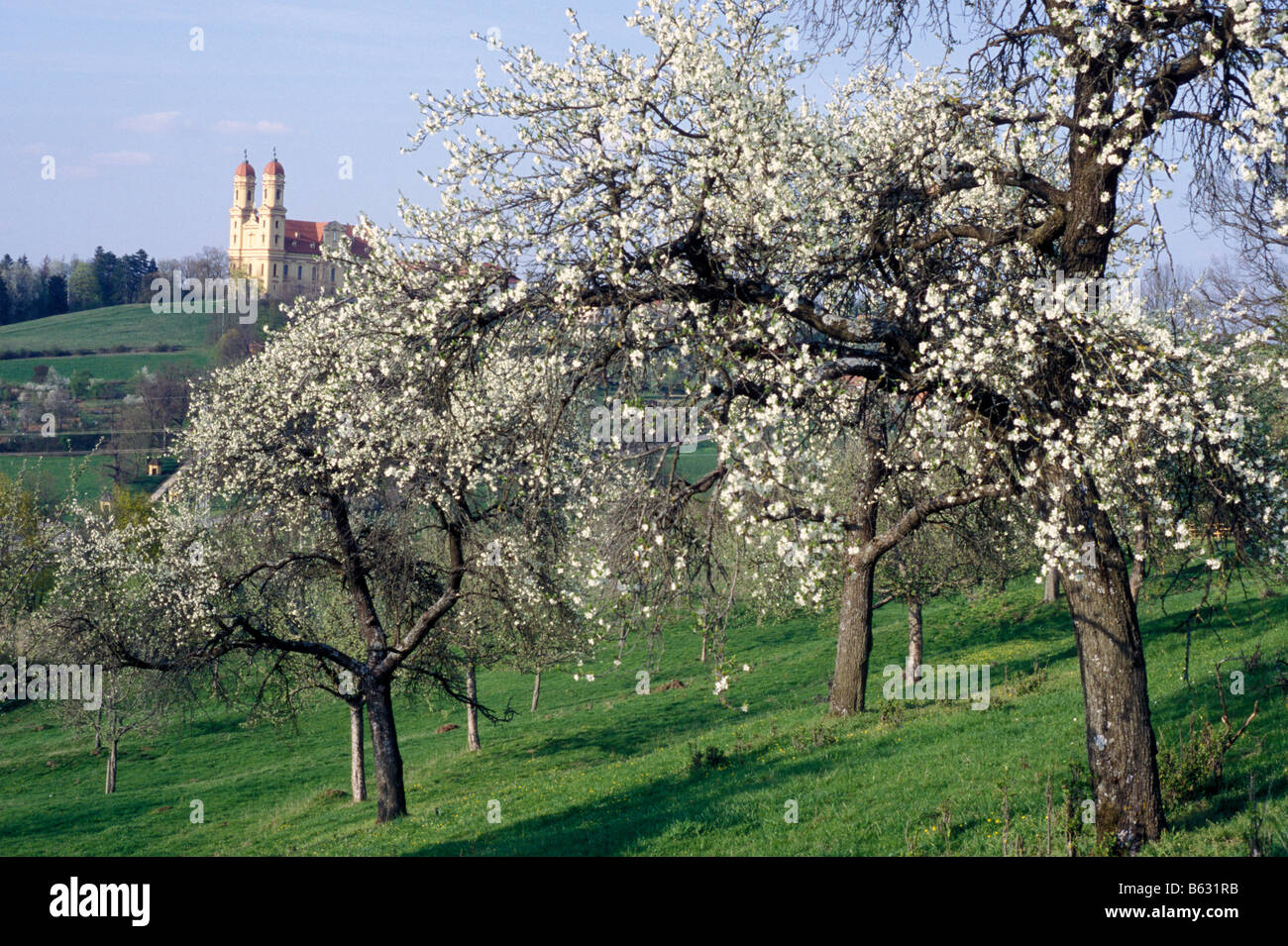 Pilgrimage Church Schoeneberg, Ellwangen, Swabian Alb, Baden ...