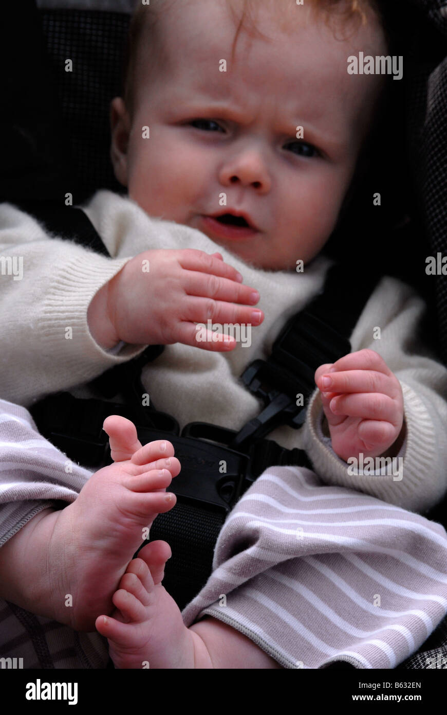 Close-up of a baby boy strapped into his pushchair Stock Photo - Alamy