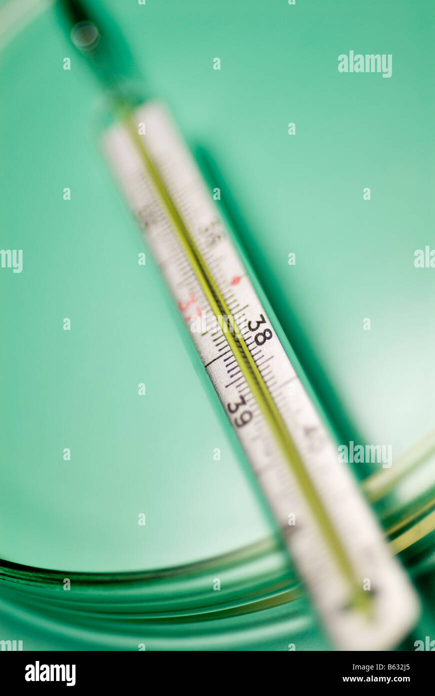 Parts Of A Laboratory Thermometer