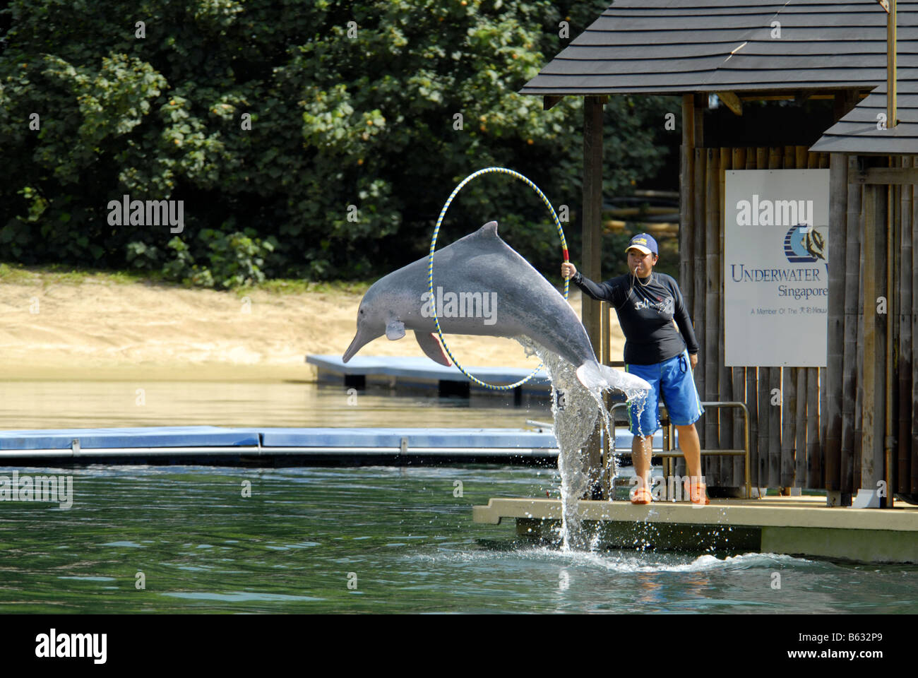 DOLPHIN LAGOON IN SENTOSA SINGAPORE Stock Photo - Alamy