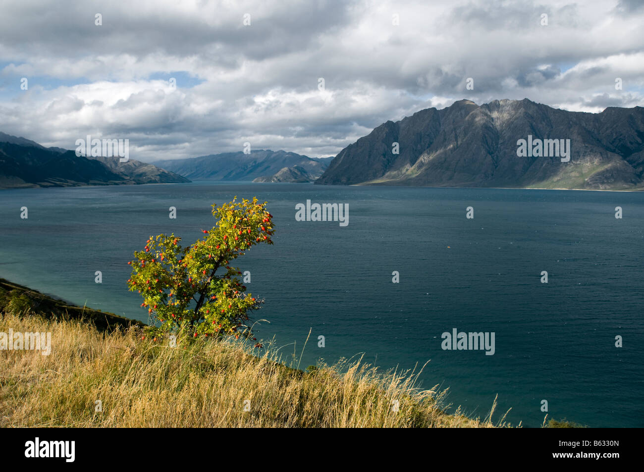 Lake Hawea, near Wanaka, South Island, New Zealand Stock Photo - Alamy