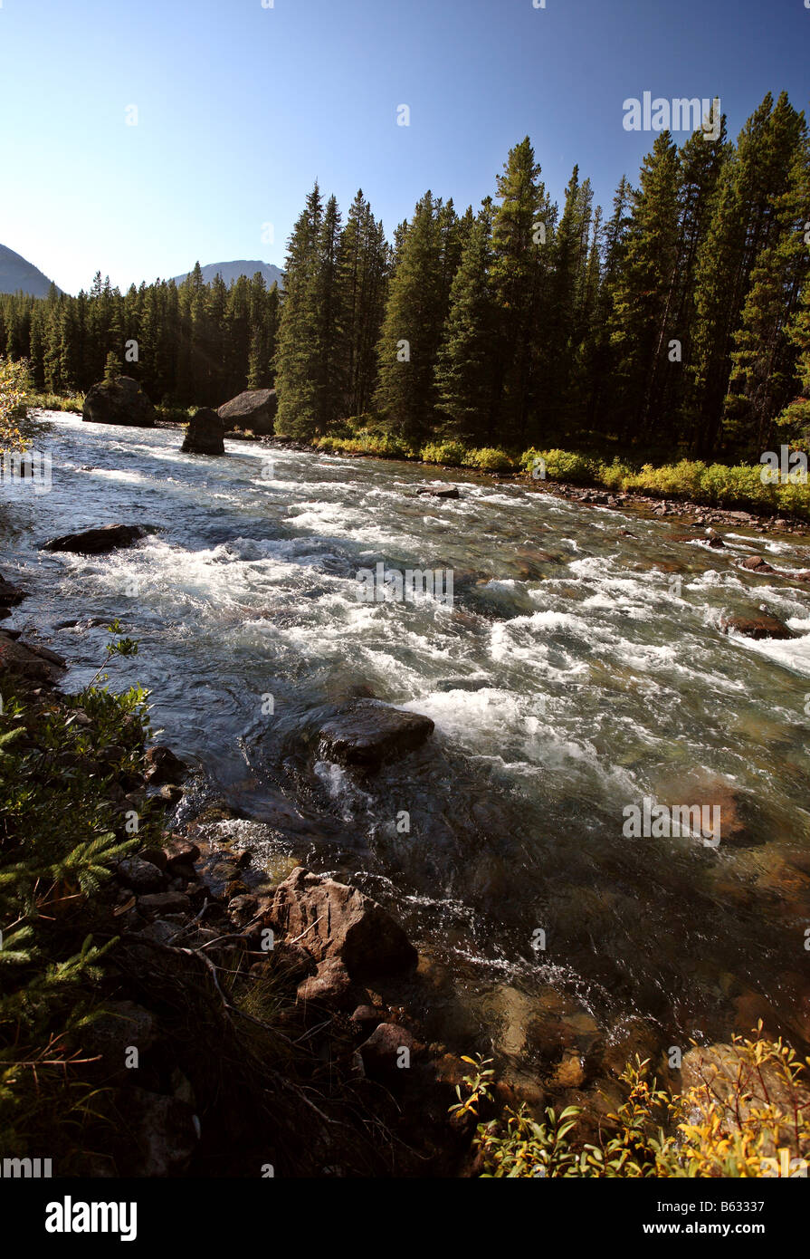 Maligne River in Jasper National Park Stock Photo - Alamy