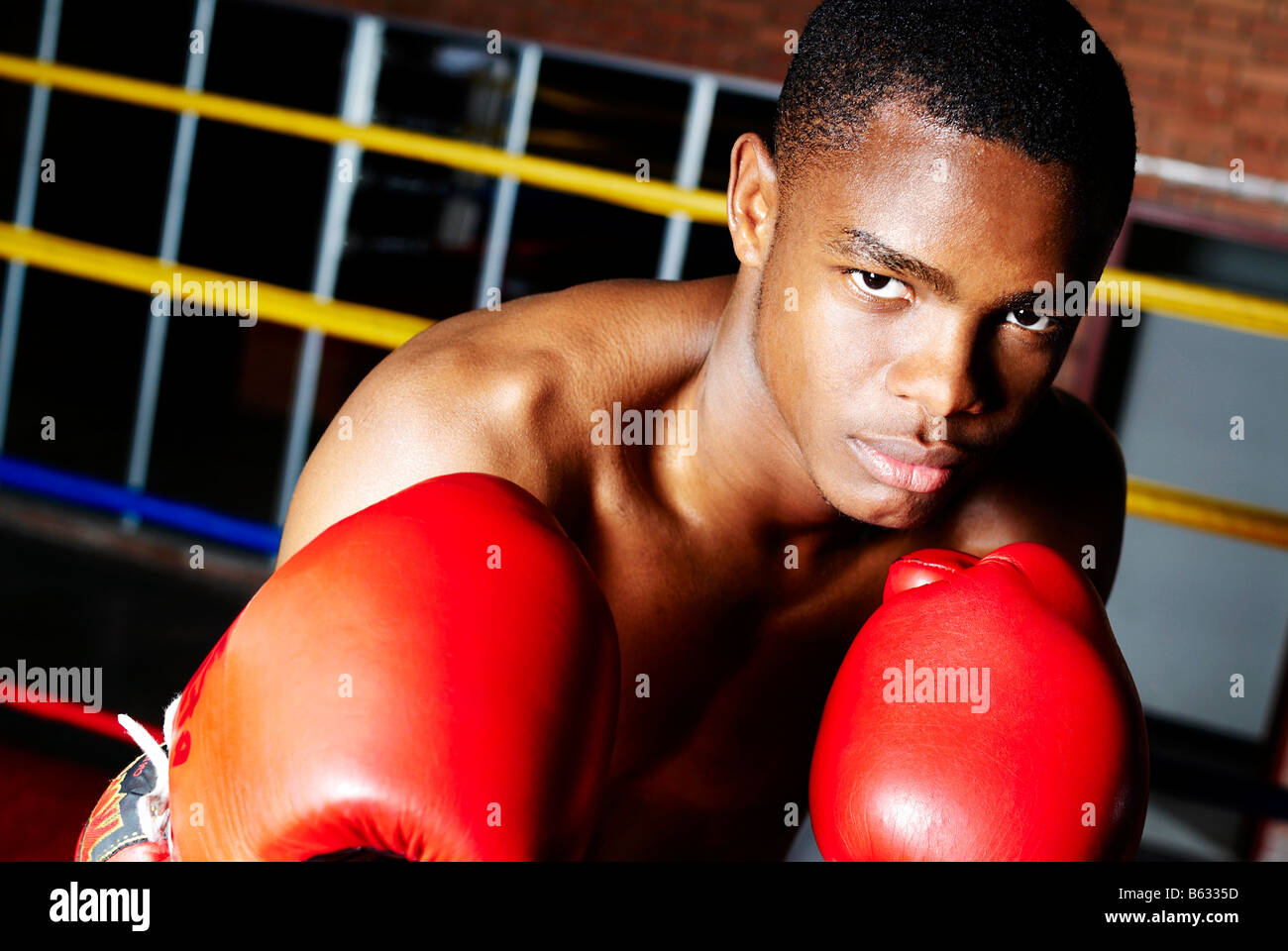 Portrait of a young male boxer in a fighting stance Stock Photo - Alamy