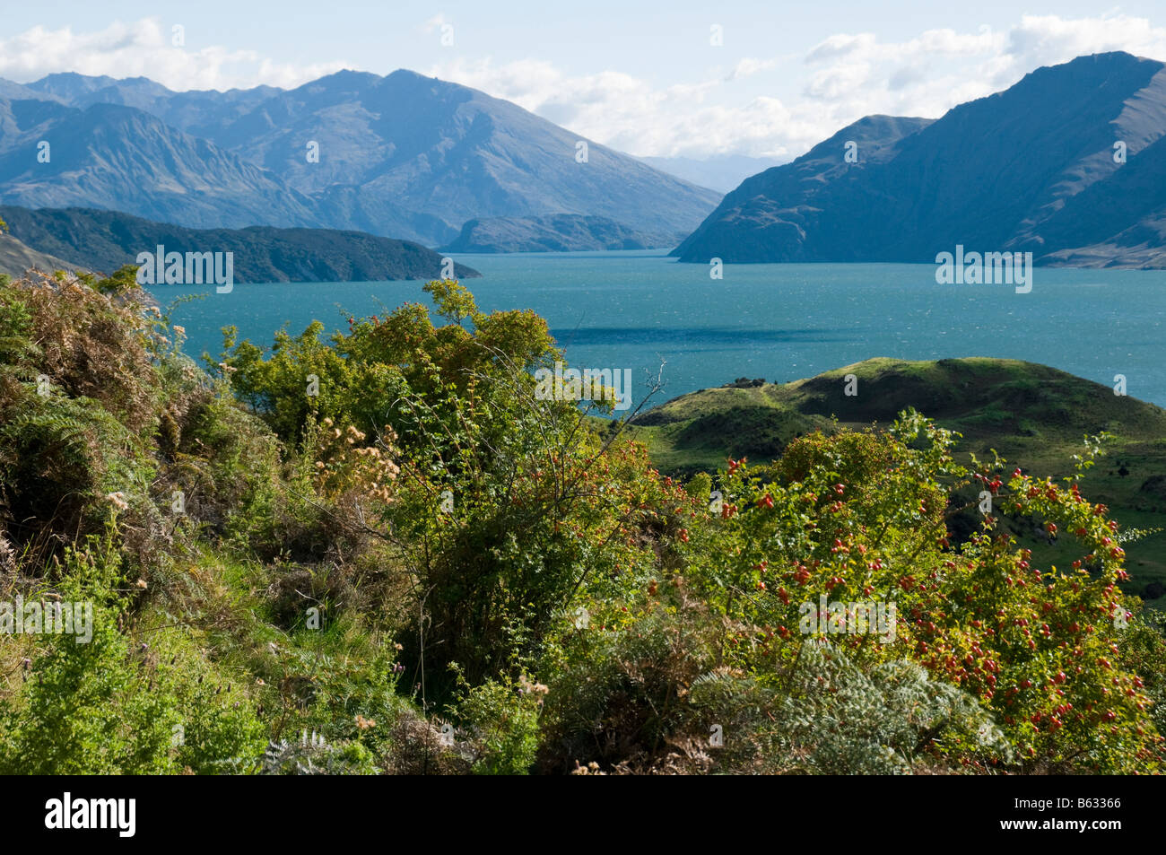 Wanaka lake mountains wanaka lake mountains hi-res stock photography ...