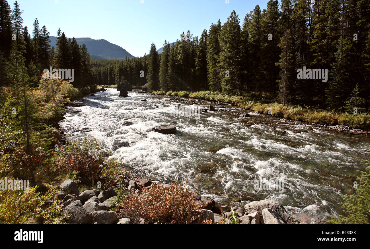Maligne River in Jasper National Park Stock Photo - Alamy