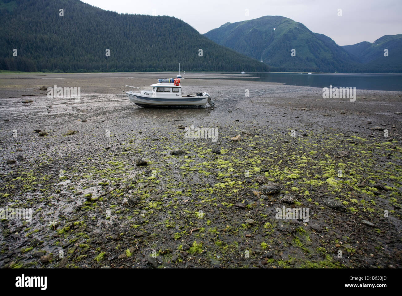 USA Alaska C Dory boat grounded at low tide in Windfall Harbor Stock ...