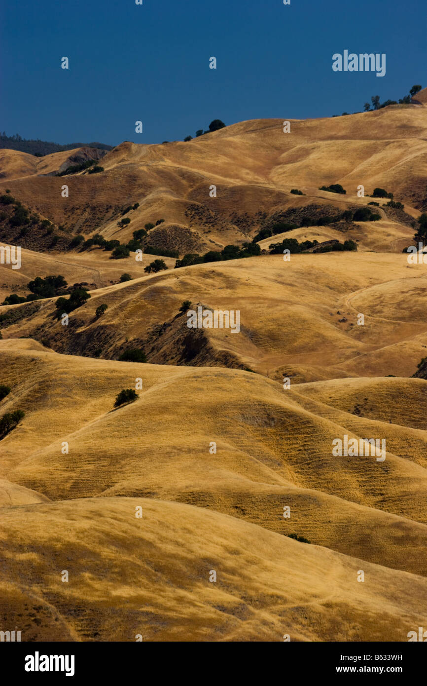 California golden hills hillside summer hi-res stock photography and ...